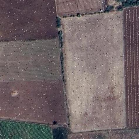 Farmland Instance Segmentation Instance Segmentation Dataset And Pre