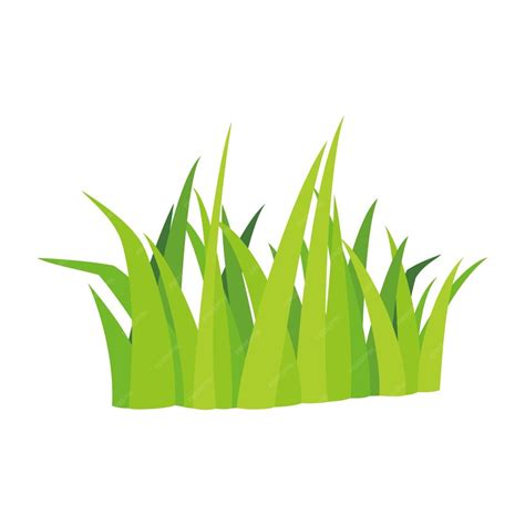Premium Vector Green Grass On A White Background