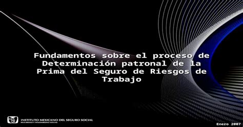 Fundamentos sobre el proceso de Determinación patronal de la Prima del ...