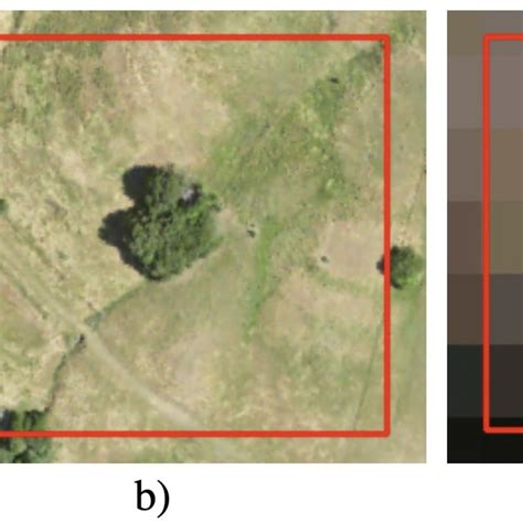 A Light Detection And Ranging Lidar Scan Of A Tree B 1 Meter