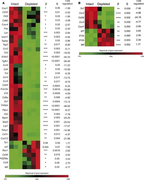 Jci Insight Pdcs In Lung And Skin Fibrosis In A Bleomycin Induced