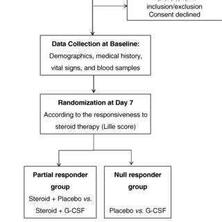 Flowchart For Study Participants Abbreviations G CSF Granulocyte Download Scientific Diagram
