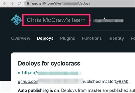 copy the txt record below into the dns configuration for