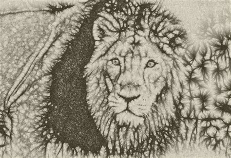 Image Guided Particle Simulation R Generative