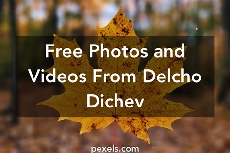 delcho dichev photography