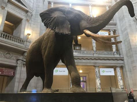 Virtual Tour Smithsonian National Museum Of Natural History Virtual