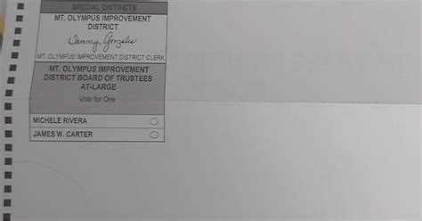 Please Help Me Understand Why Only One Position In 2023 Utah General