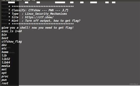 Ctfshow Pwn 前置基础（pwn18 Pwn19）ctfshow Pwn18 Csdn博客