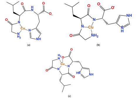The Three Coordination Modes A With An Amine N Neighboring Amide N Download Scientific
