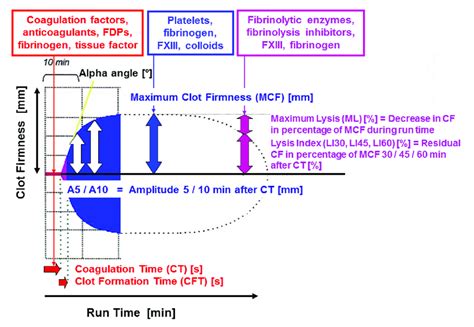 Rotem Traces 4 Main Clot Parameters 1 Clot Initiation Coagulation Download Scientific