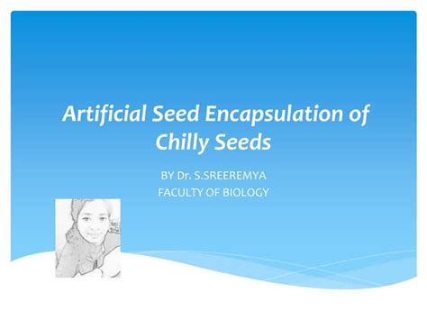 Artificial Seed Encapsulation Of Chilly Seeds Ppt