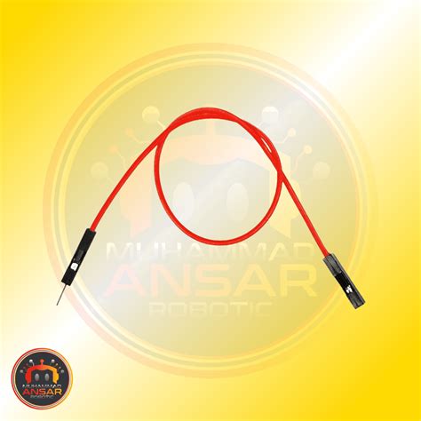 Male To Female Jumper Wires 10cm Ma Robotic