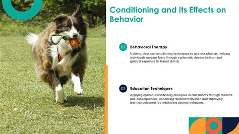 Classical Vs Operant Conditioning In Psychology Ppt Guidelines Acp Ppt