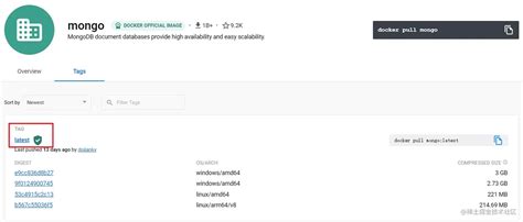 Docker 安装 Mongodb 6x 详解本文主要介绍 Mongodb 基于 Docker 容器化的安装方案。通过 掘金