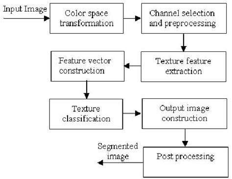 The Vessel Segmentation Model Download Scientific Diagram