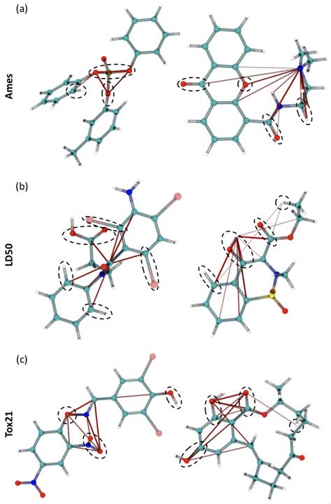 Equivariant Graph Neural Networks For Toxicity Prediction Chemical Research In Toxicology
