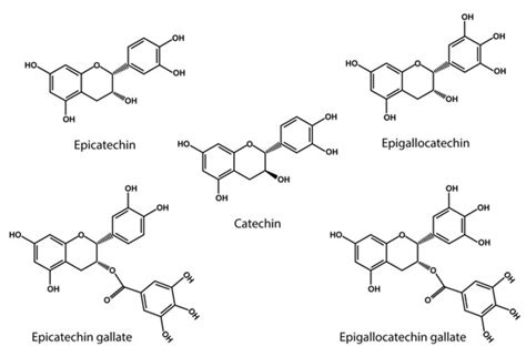 Exploring The Interplay Between Polyphenols And Lysyl Oxidase Enzymes