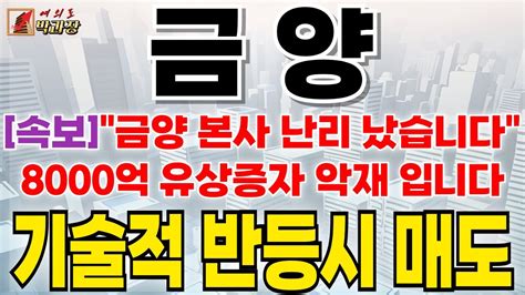 금양 주가 분석 속보 금양 본사 난리 났습니다8000억 유상증자 악재 입니다 기술적 반등시 매도 금양유상증자금양목표가금양주가전망 Youtube