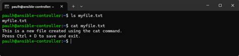 The Linux Cat Command Server Academy