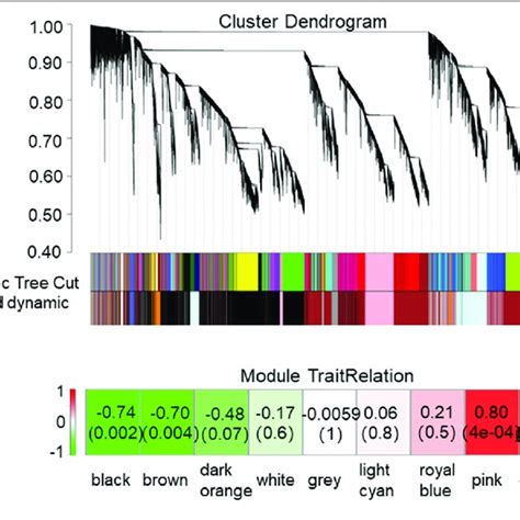 Network Analysis Dendrogram Showing Modules Identified By Weighted Download Scientific