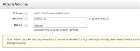 Работа с Aws Ebs в Unixlinux Linux