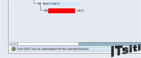 Se01 Ddic Has No Authorization For The Selected Function