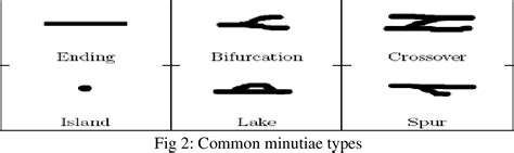 Figure 2 From Improved Automated Fingerprint Identification System