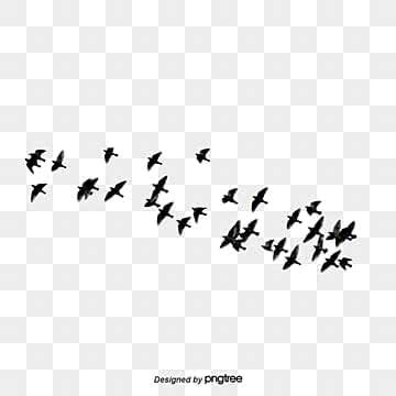 Passaros Voando Png Images Vetores E Arquivos Psd Download Gr Tis Em Pngtree