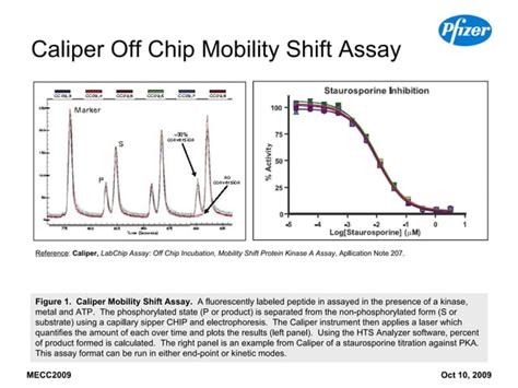Determination Of Kinact Ki For Egfr Irreversible Inhibitors Using