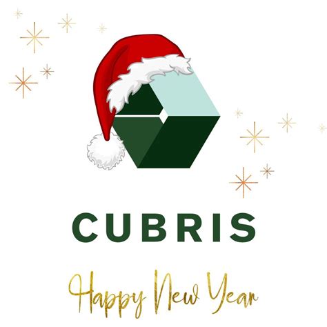 Cubris Aps On Linkedin Coming To The Year End The Entire Team At