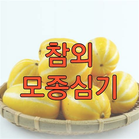 참외 모종 심는 시기 및 순치기 보관법 효능