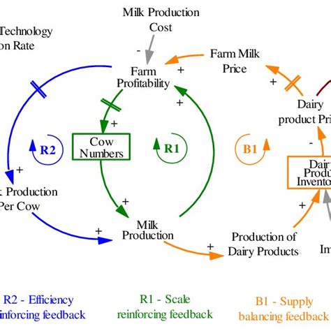 Causal Loop Diagram Representing The Conceptual Model And The Main