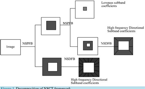figure 1 from multimodal medical image fusion in non subsampled