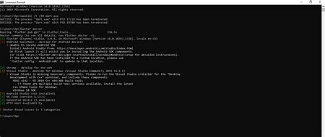 I Am New To Flutter And Still Stuck At Flutter Installation · Issue