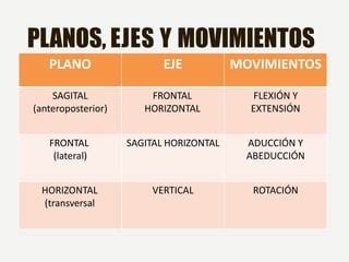 Planos Y Ejes Anatomicos Del Cuerpo Humano Pdf