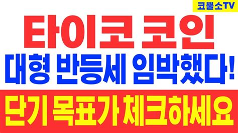 타이코 코인 대형 반등세 임박했다 단기 목표가 체크하세요 Youtube