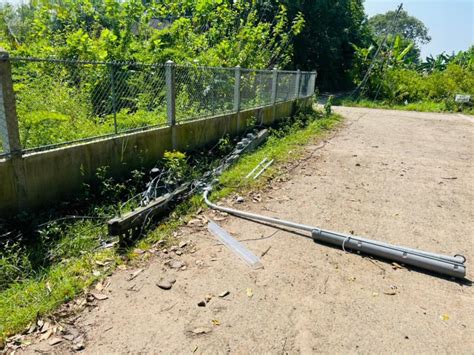 ตัดต้นไม้ล้มทับสายไฟ