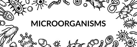 Premium Vector Microbiology Banner Collection Of Different Types Of Microorganisms