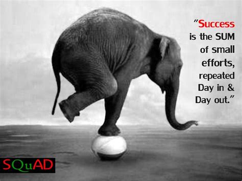 Softwaretestingclasses‬ Softwaretestingbatches‬ Testingtraining‬