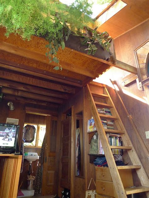 Moon To Moon Tree House