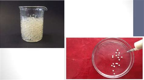 Batch Fedbatch And Continuous Fermentation Pptx