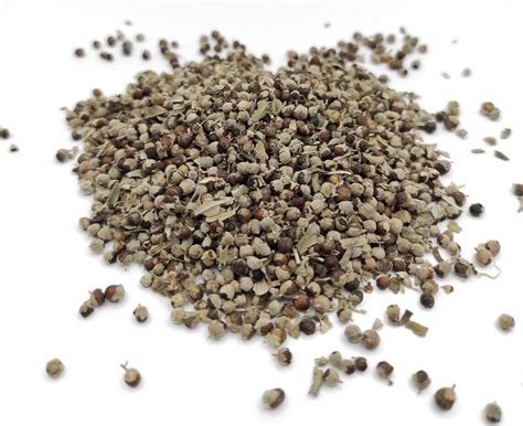 Vitex Agnus Castus Chaste Tree Hardy Seeds Desertscape Nursery