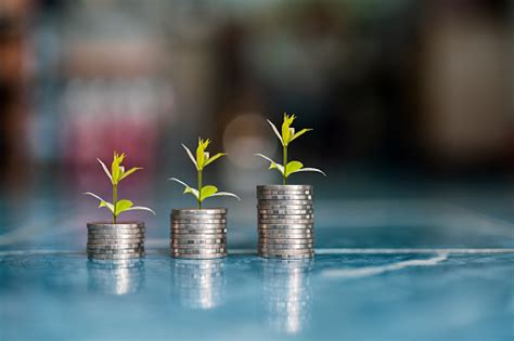 동전은 상단에 성장 트리 돈 저장 및 투자 또는 가족 계획 개념 모션 흐린 배경으로 스택 단계 0명에 대한 스톡 사진 및 기타 이미지 Istock