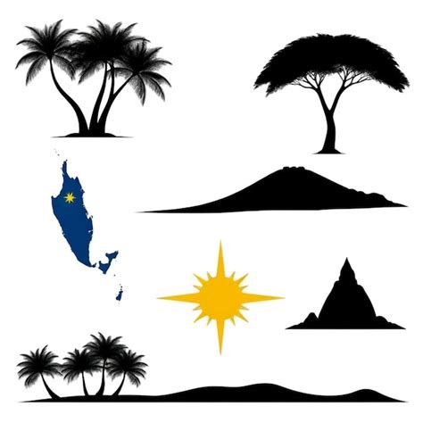 Premium Vector A Palm Tree And A Map Of Palm Trees