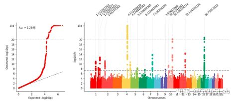可视化 Visualization GWASLab GWAS实验室