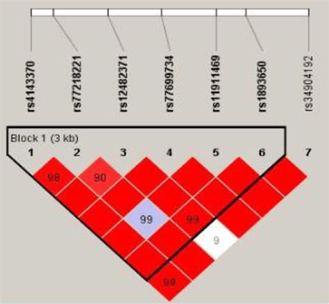 haplotype block map for the snps in mir155hg gene the numbers inside