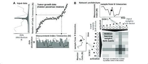 Basic Functionality Of The System A Tumor Growth Data Following A Download Scientific