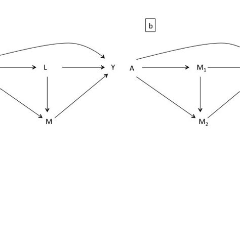 Panel A Dag Representing The Simplified Causal Structure In Presence