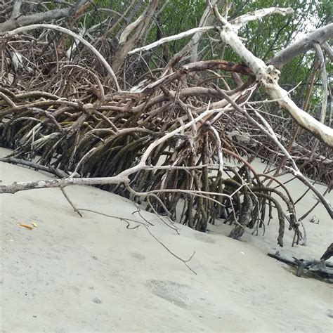 Praia Do Ajiru Ou Praia Do Paraiso 2024 All You Need To Know Before You Go With Photos