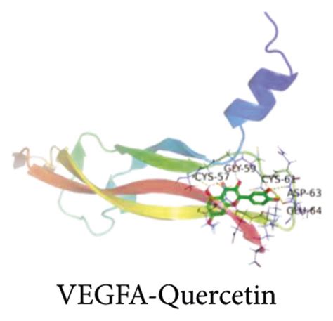 Molecular Docking Structure Diagram A Il 6 Quercetin B Download Scientific Diagram